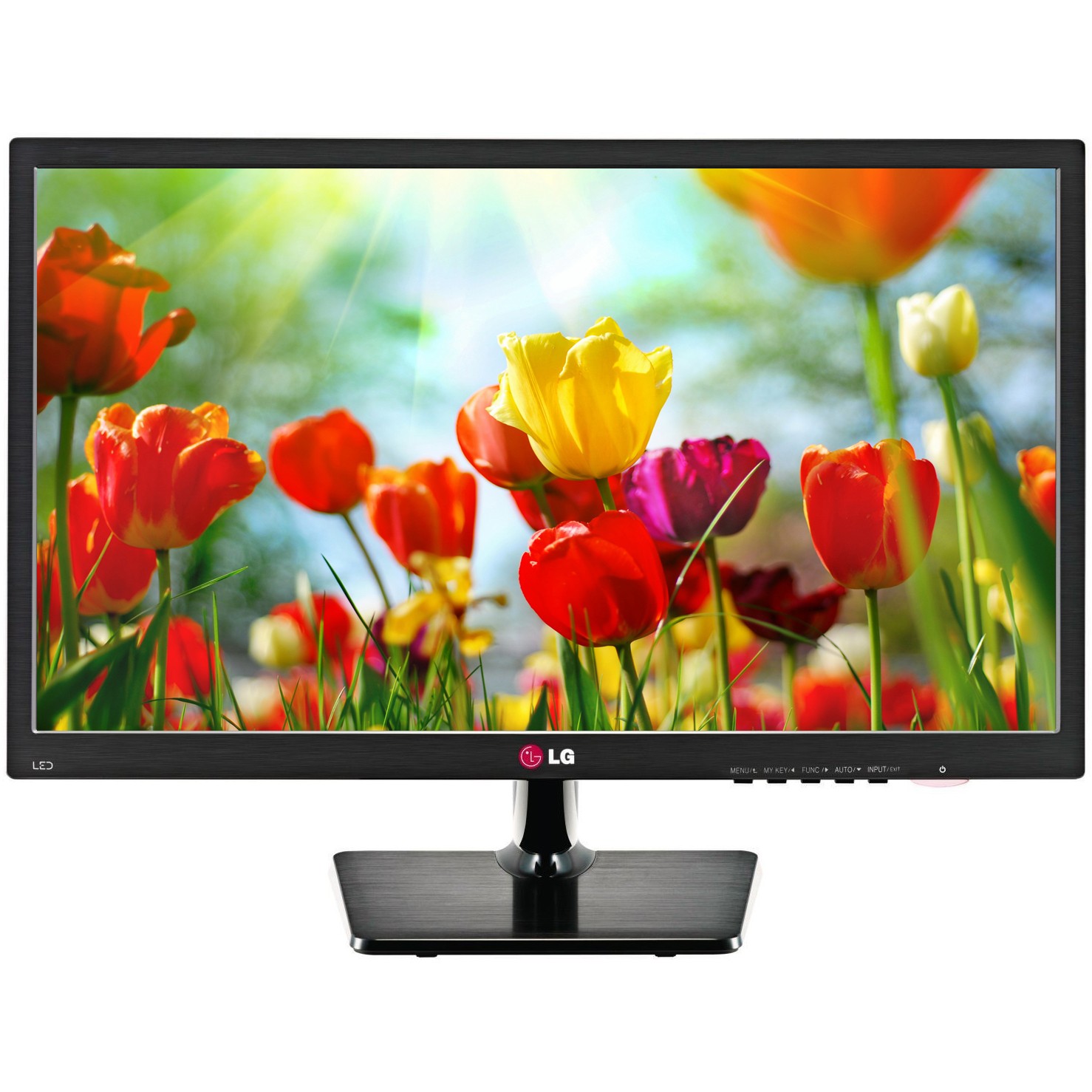 MONITOR 20EN33SS-B - LG - Monitor LED 19.5 LCD Wide